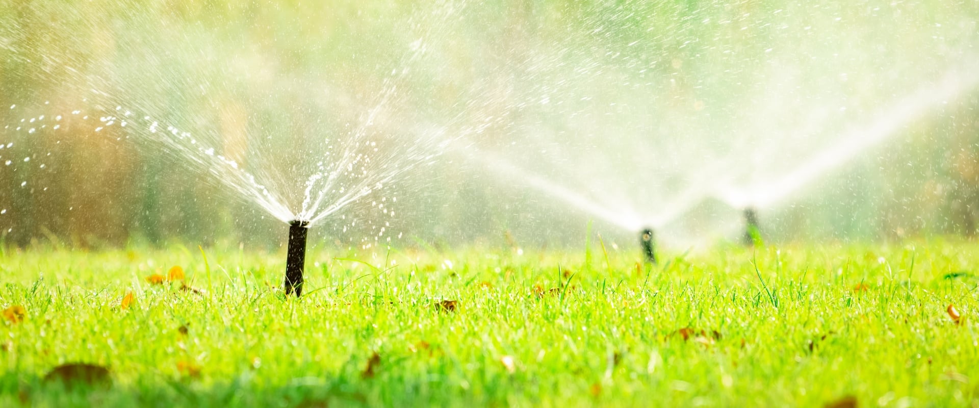 Water Wise in Palm Beach: How Upgrading Your Irrigation System Can Help ...
